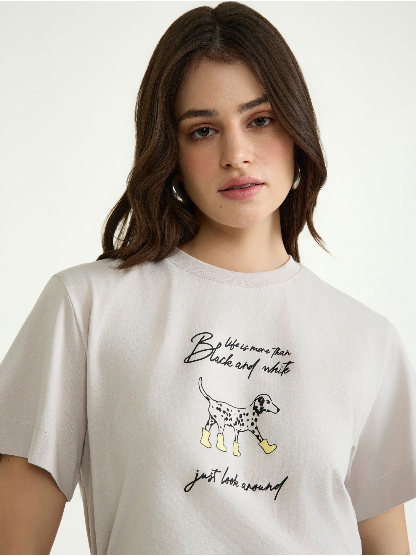 ᐅ Купить Футболка из хлопка с рисунком «Siesta» LD 3029 в Минске цвет beige-siesta ️ в интернет ...